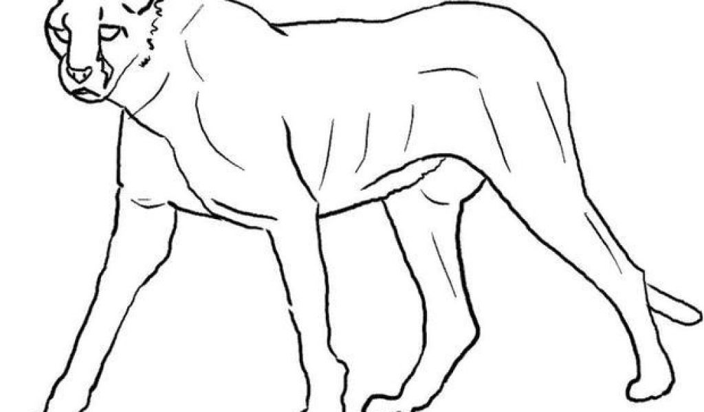Coloriage Panthere Noire Imprimer Coloriages Coloriage D Une Panthère ...